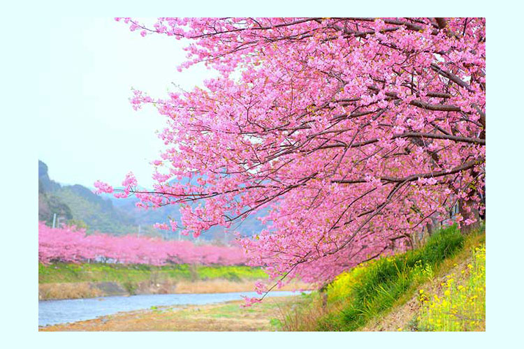 太平洋旅行社 刷卡最高折$2000 | beanfun!