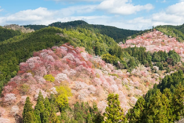 太平洋旅行社指定行程 最高享現折2000元 | beanfun!