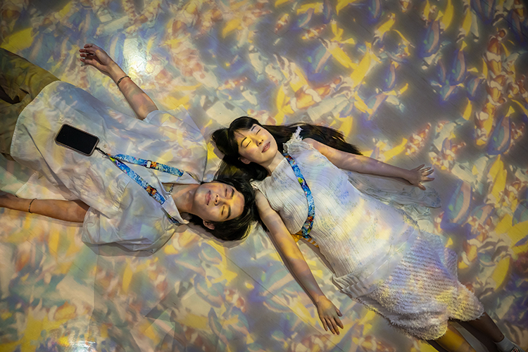 Xpark 5週年！攜手日本NAKED打造《Ocean of Light 潛浸海洋》沉浸式展覽！｜卡優新聞網