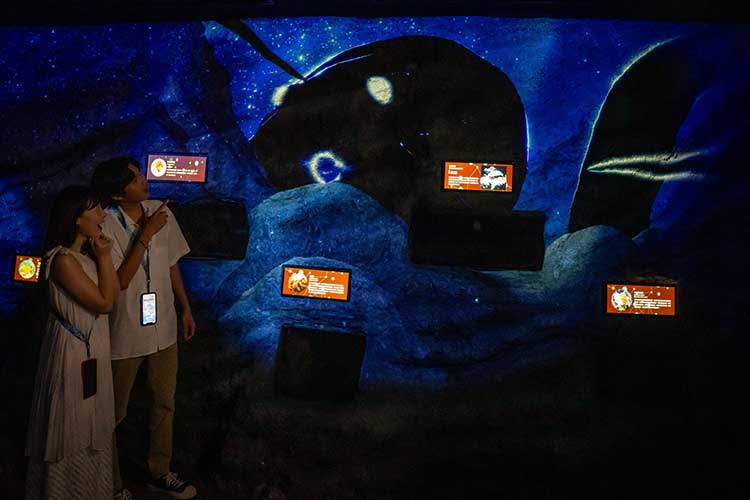 Xpark 5週年！攜手日本NAKED打造《Ocean of Light 潛浸海洋》沉浸式展覽！｜卡優新聞網